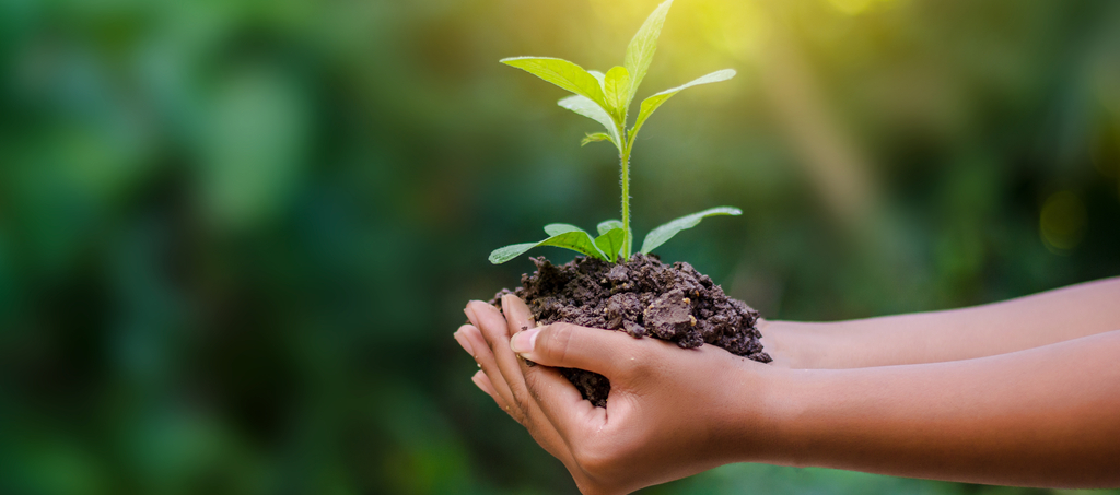 7 petits gestes pour aider la nature - Notre Nature