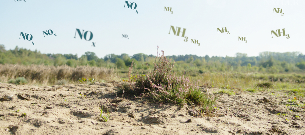 Quel est l’impact de l’azote sur notre nature ? - Notre Nature