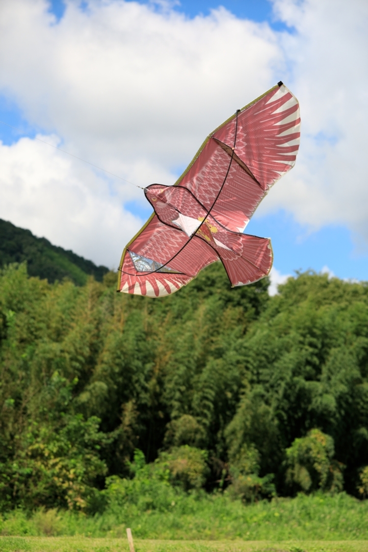 Les épouvantails marchent-ils vraiment ? - Notre Nature