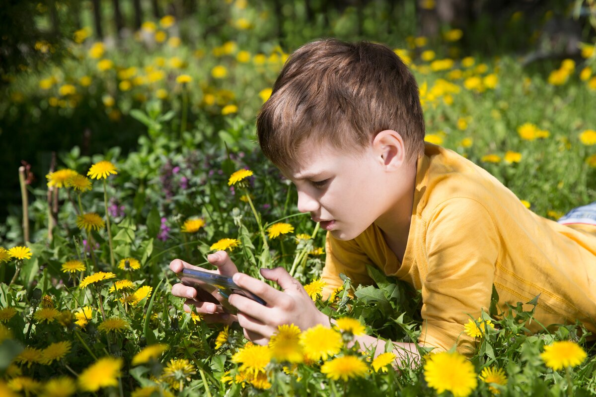 Game over : la nature joue aussi le jeu - Notre Nature