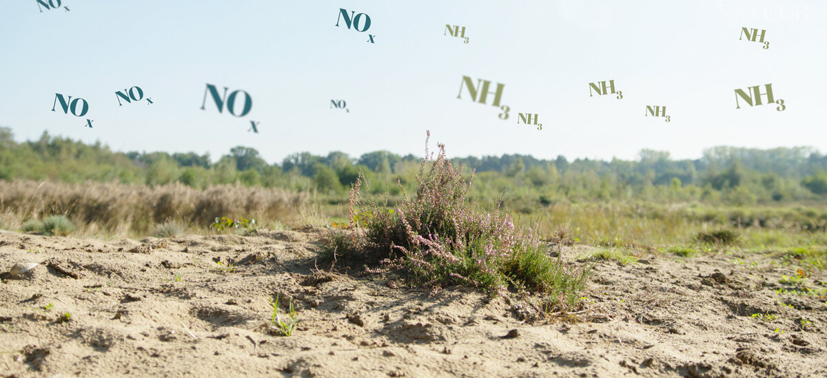 Quel est l’impact de l’azote sur notre nature ? - Notre Nature