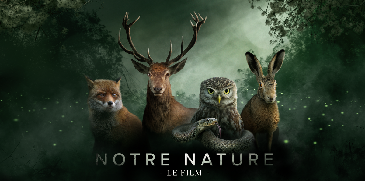 Notre Nature, Le Film sur Proximus ! - Notre Nature